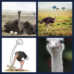 4 Fotos 1 Palabra 8 letras ★ Respuestas Actualizadas 2023