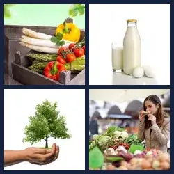 4 Fotos 1 Palabra 8 letras ★ Respuestas Actualizadas 2023