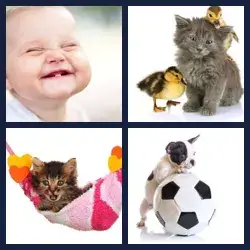 4 Pics 1 Word 4 letters Answers UPDATED ★ Quick Search!