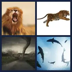 4 Pics 1 Word 9 letters Answers UPDATED ★ Quick Search!